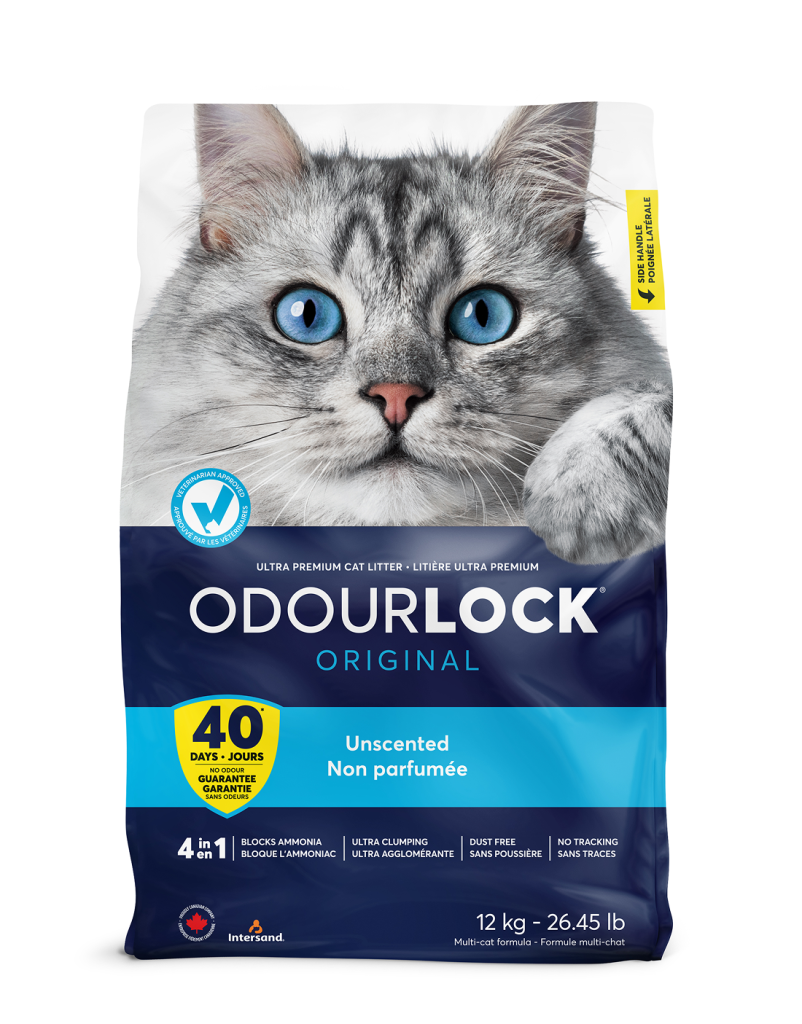 Premium Dust-Free Cat Litter | OdourLock | Intersand